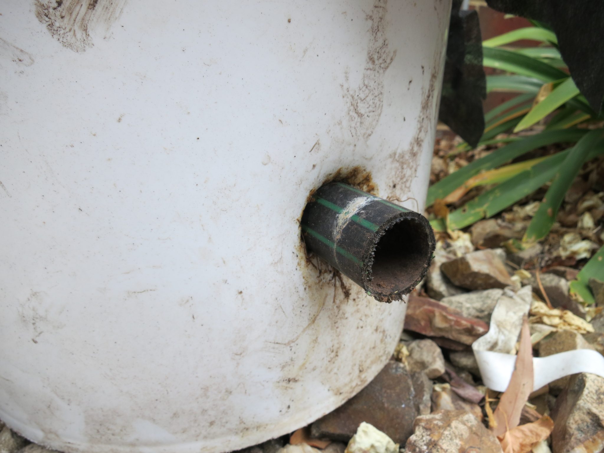 Build your own portable wicking beds